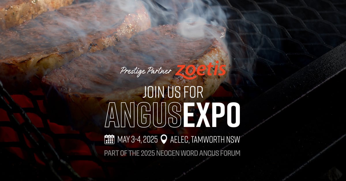 2025 World Angus Forum
