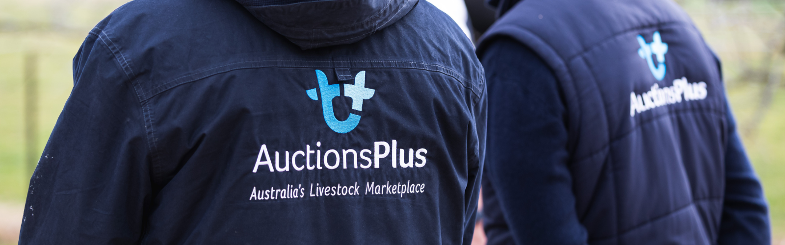AuctionsPlus Accreditations
