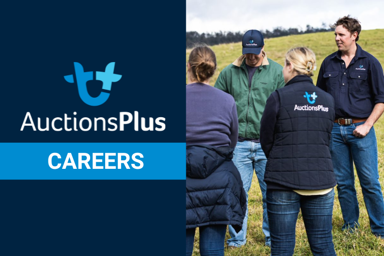 AuctionsPlus Careers | Work With Us
