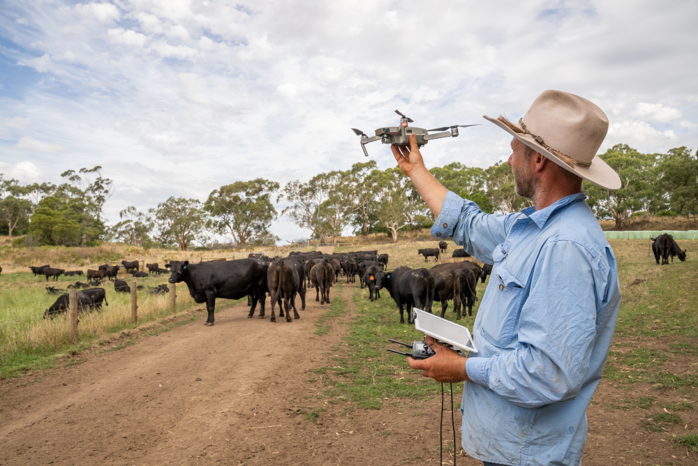 What's New at AuctionsPlus