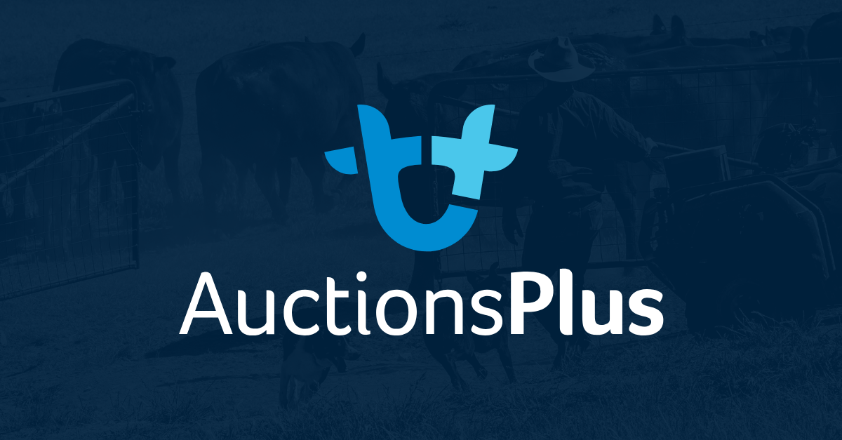 Sell Livestock on AuctionsPlus